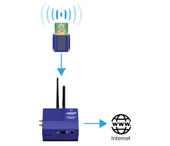 Wireless Warehouse Temperature Monitoring - Fluke Infotech